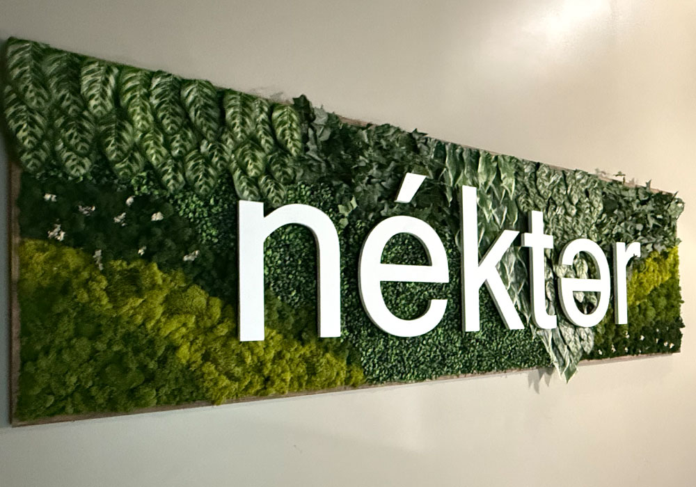 Nekter Juice Bar Projects by Kinetic Builders